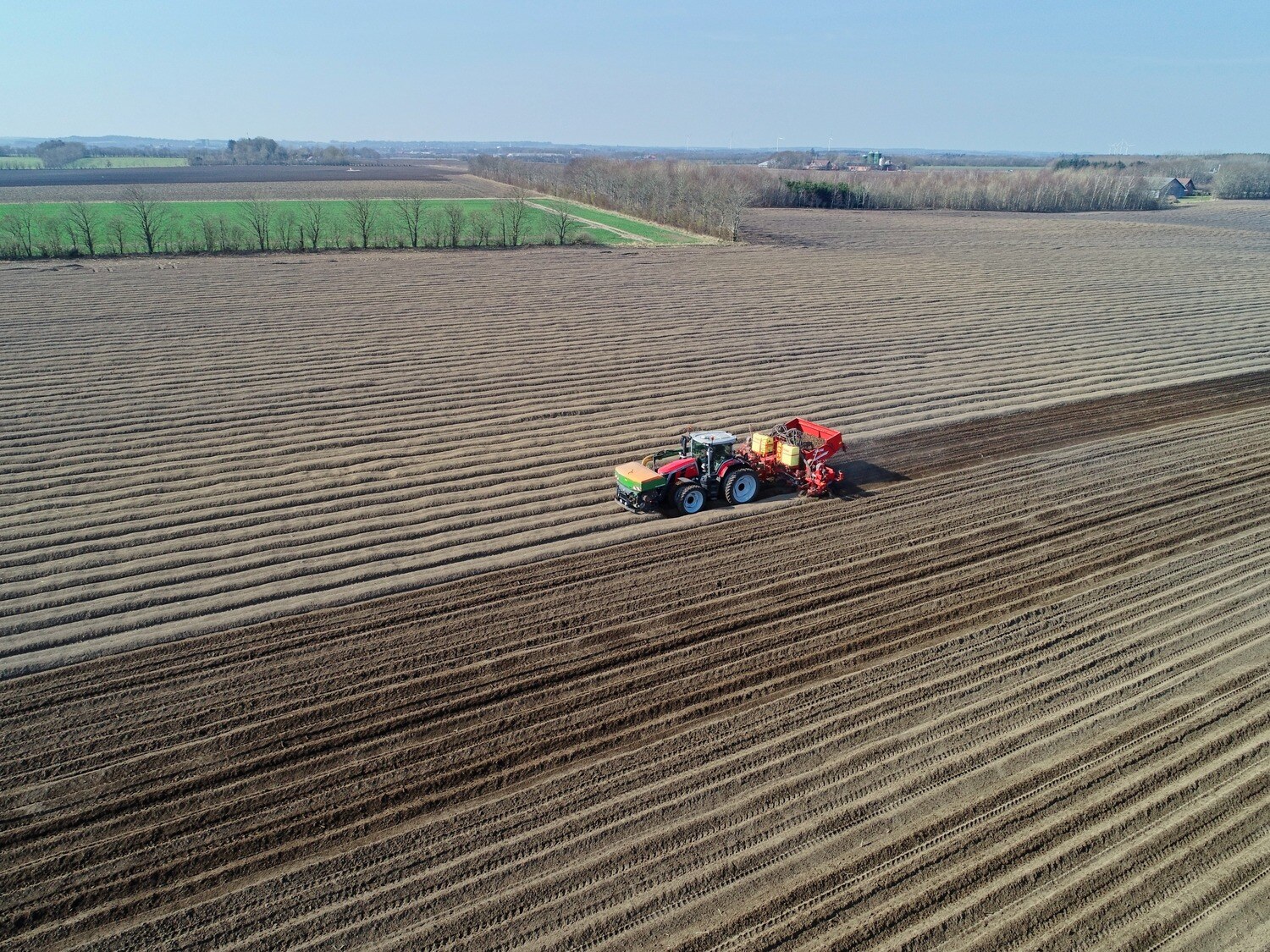 Half of This Year’s Potato Crop is Planted